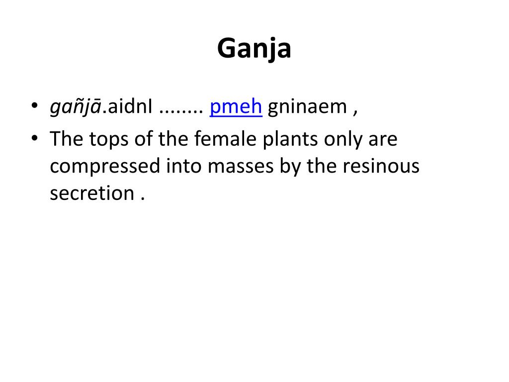 PPT - Indian Hemp, Cannabis Indica, Cannabis PowerPoint Presentation ...