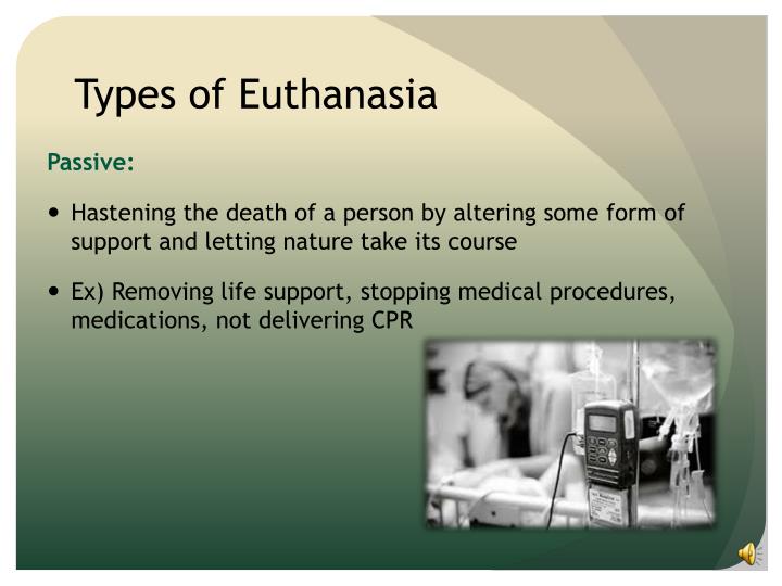 PPT - Euthanasia PowerPoint Presentation - ID:1603514