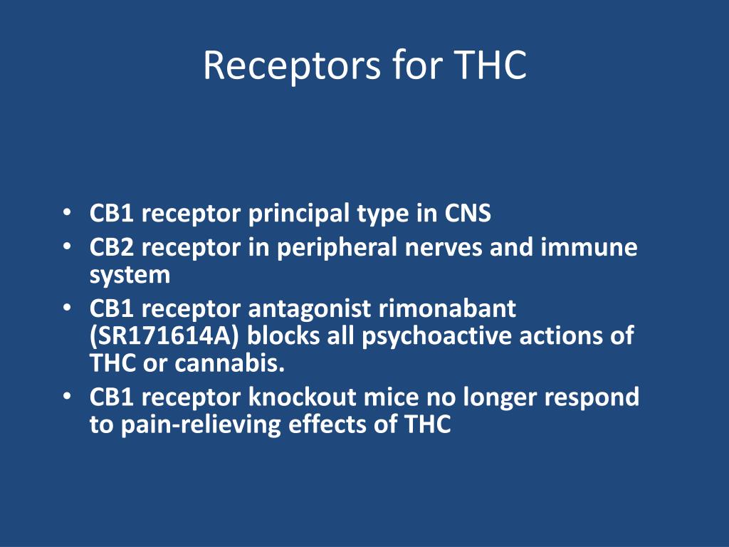 PPT - Returning Cannabis to the Medicine Cabinet? PowerPoint ...