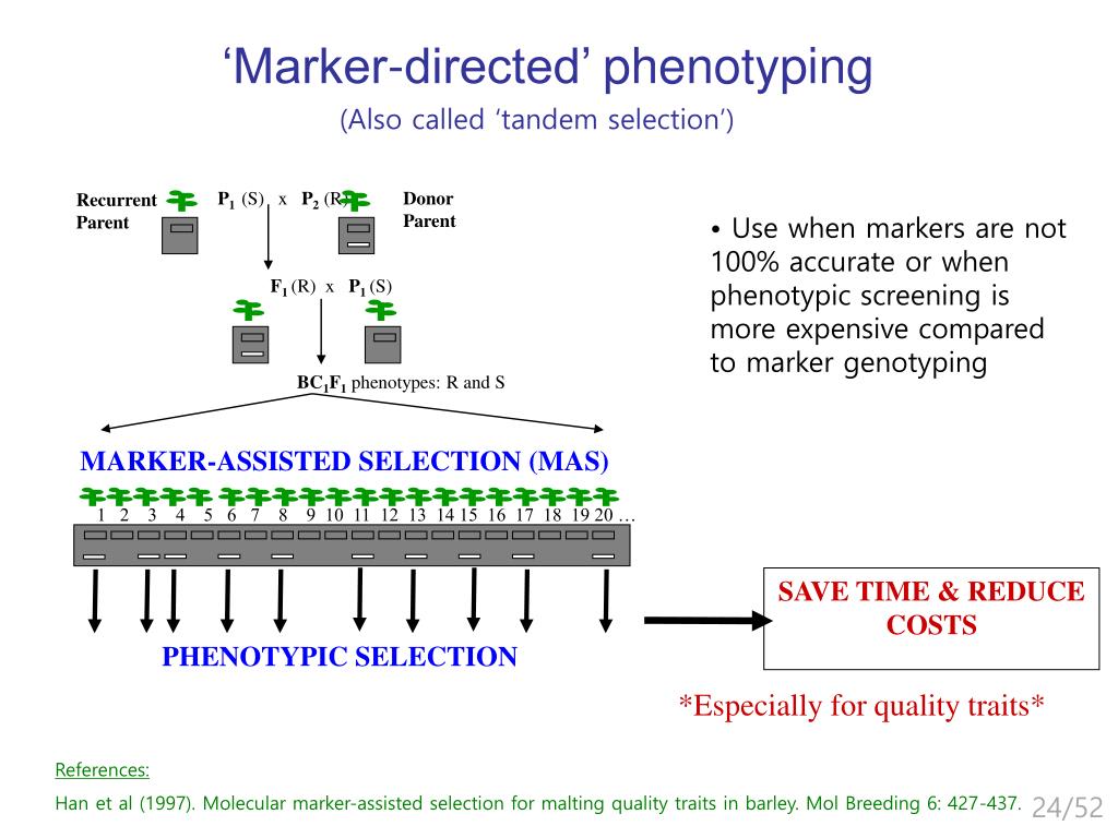 PPT - 1. Achievements and limitations in plant breeding PowerPoint ...