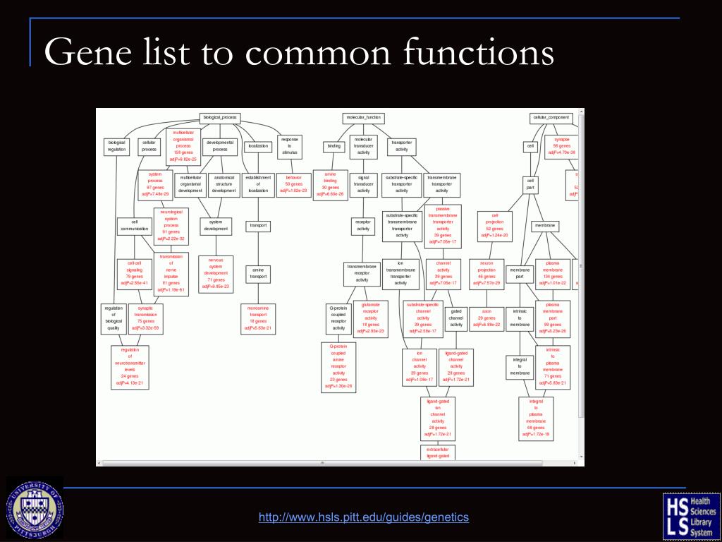 PPT - Comprehensive Gene and Protein Information Resources for ...