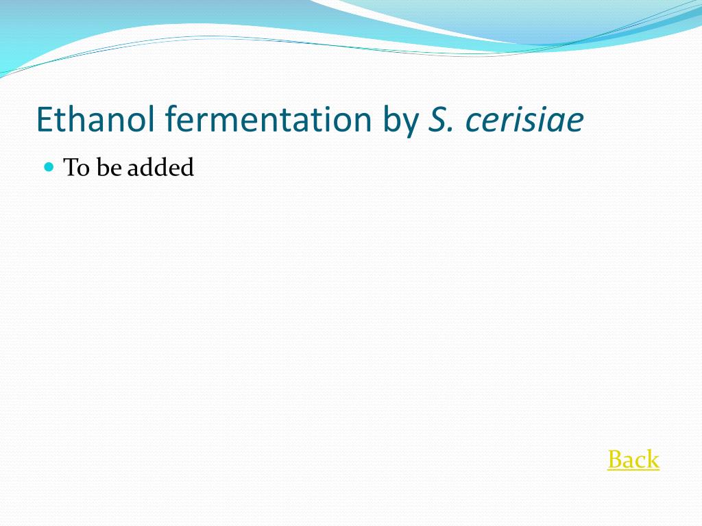 PPT - Ethanol yield from fruit peels and adsorption of heavy metal ions ...