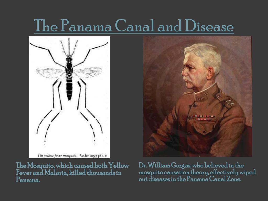 PPT - Building the Panama Canal: Theodore Roosevelt and American ...