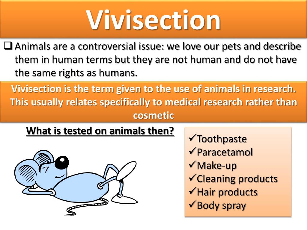 PPT - Religion and M edical Ethics PowerPoint Presentation, free ...