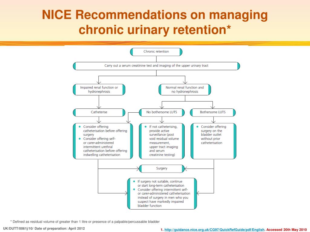 PPT - NICE LUTS Clinical Guideline 2010 PowerPoint Presentation, free ...