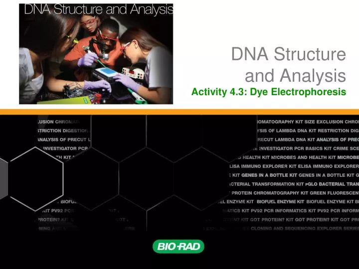 PPT - DNA Structure and Analysis PowerPoint Presentation, free download ...