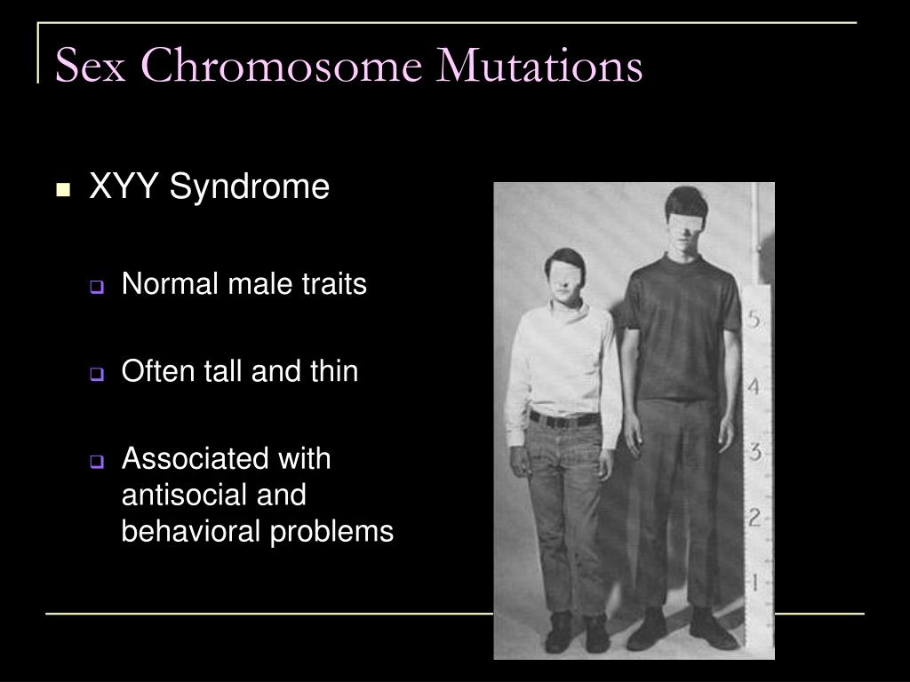 Ppt Mutations Powerpoint Presentation Free Download Id 1604183