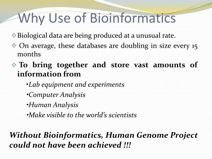 PPT - Bio-bio-1 Team PowerPoint Presentation - ID:1604271