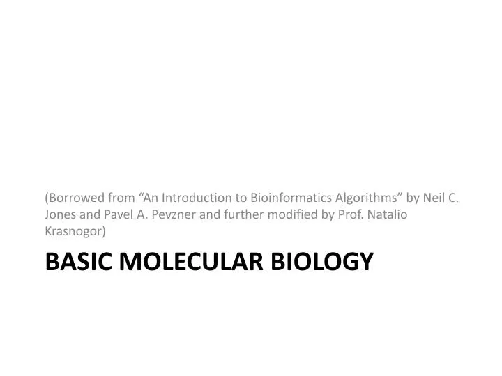 PPT - Basic Molecular Biology PowerPoint Presentation, free download - ID:1604288