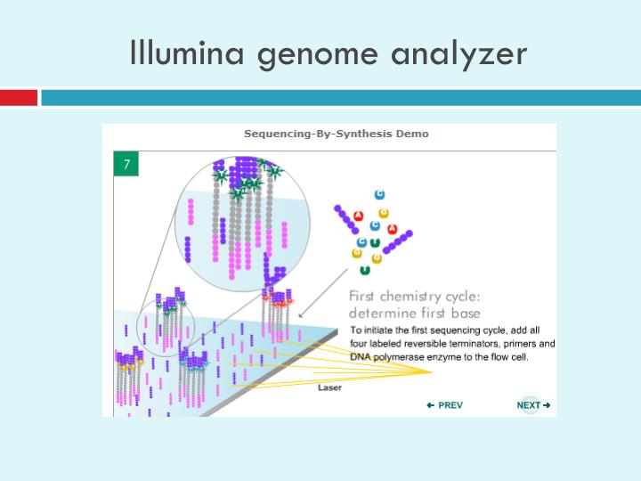 PPT - The impact of next-generation sequencing technology of genetics ...