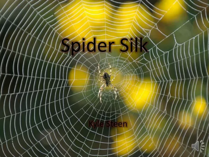 PPT - Spider Silk PowerPoint Presentation, free download - ID:1604527