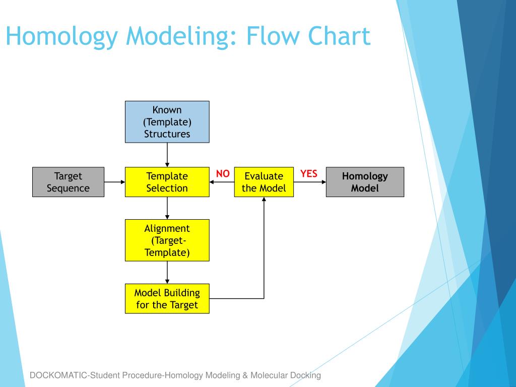 PPT - DockoMatic : Automated Tool for Homology Modeling and Docking ... PPT - DockoMatic : Automated Tool for Homology Modeling and Docking ...