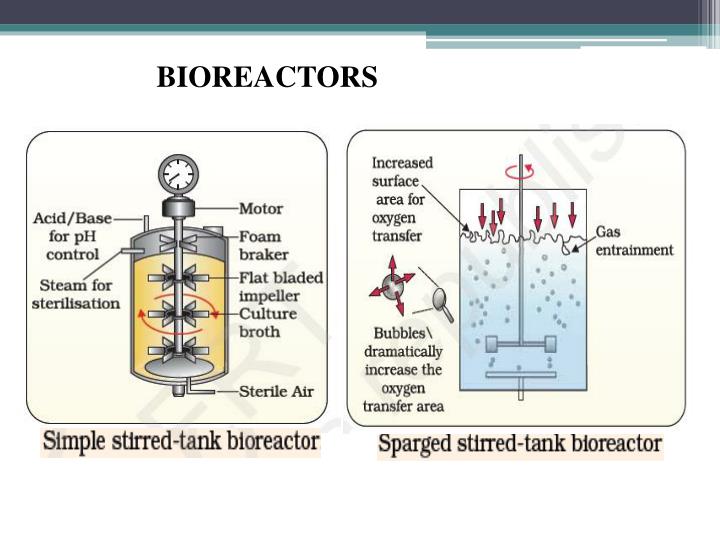 PPT - BIOTECHNOLOGY: PRINCIPLES, PROCESSES AND APPLICATIONS PowerPoint ...