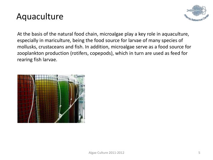 PPT - Chapter 5: Microalgal biotechnology. Applications of cultured ...