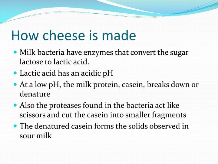 PPT - How Biotechnology has enhanced cheese-making process PowerPoint ...