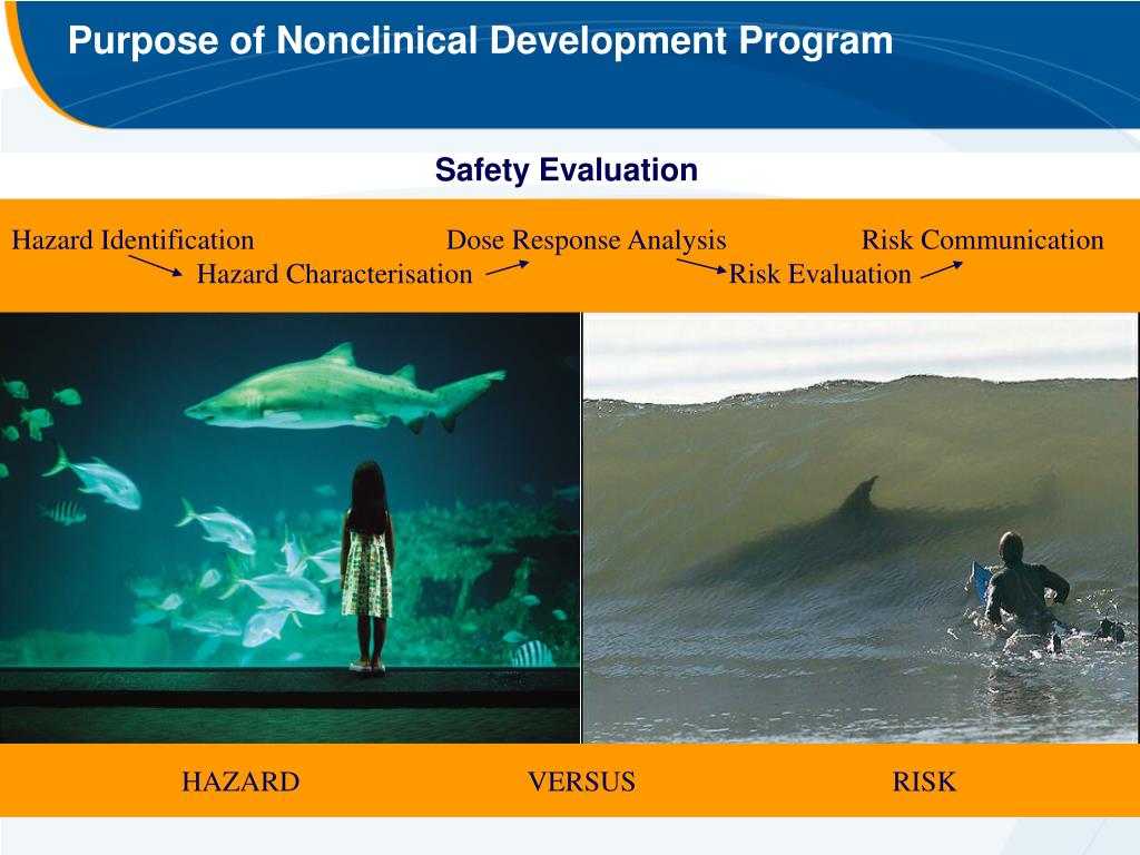 PPT - Biopharmaceutical Pre-clinical Safety Evaluation – What’s the ...