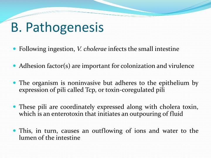 PPT - Non-Invasive Enteritis and Food Poisoning PowerPoint Presentation ...