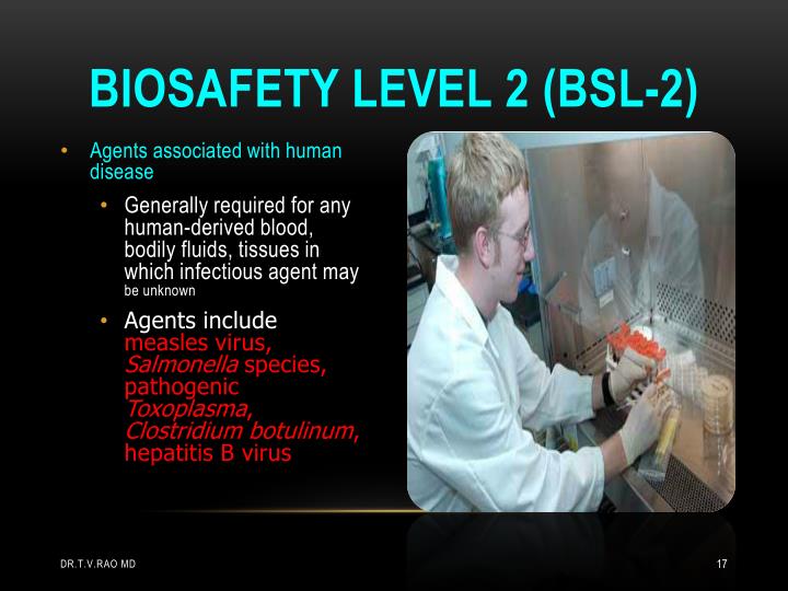 PPT - Biosafety in Microbiology laboratory PowerPoint Presentation - ID ...