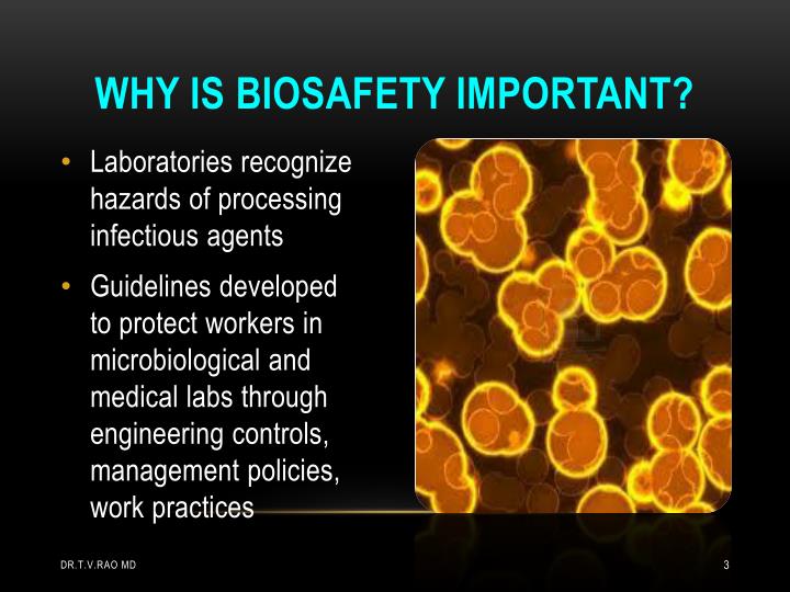 PPT - Biosafety in Microbiology laboratory PowerPoint Presentation - ID ...