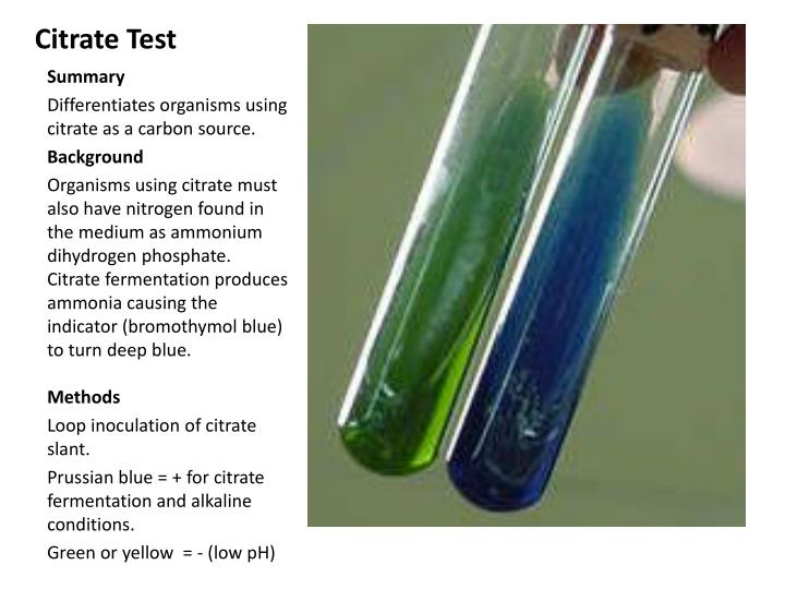 PPT - Summary of Biochemical Tests in Microbiology PowerPoint ...