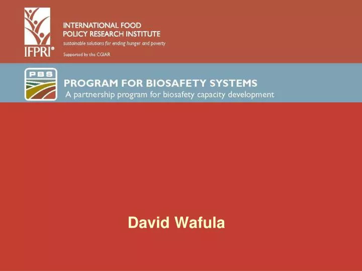 PPT - David Wafula PowerPoint Presentation, free download - ID:1605011
