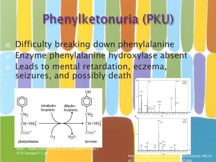 PPT - Tandem Mass Spectrometry PowerPoint Presentation - ID:1605036