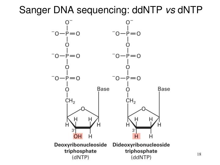 PPT - Recombinant DNA Dr. R. Howells PowerPoint Presentation - ID:1605070