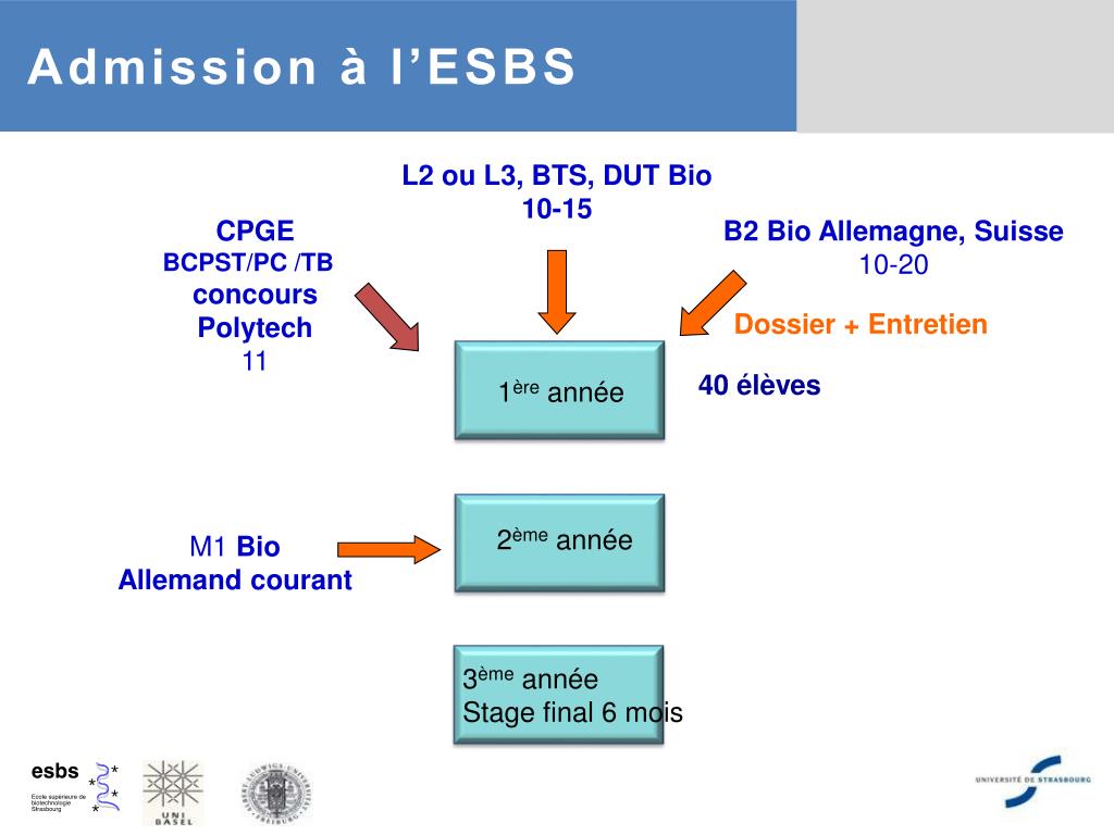 PPT - E S B S Ecole Supérieure de Biotechnologie de Strasbourg Ecole interne de l'université de ...