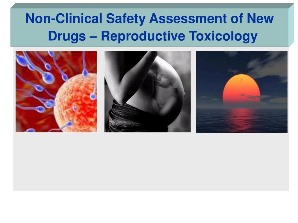 PPT - Non-Clinical Safety Assessment of New Drugs – Reproductive ...
