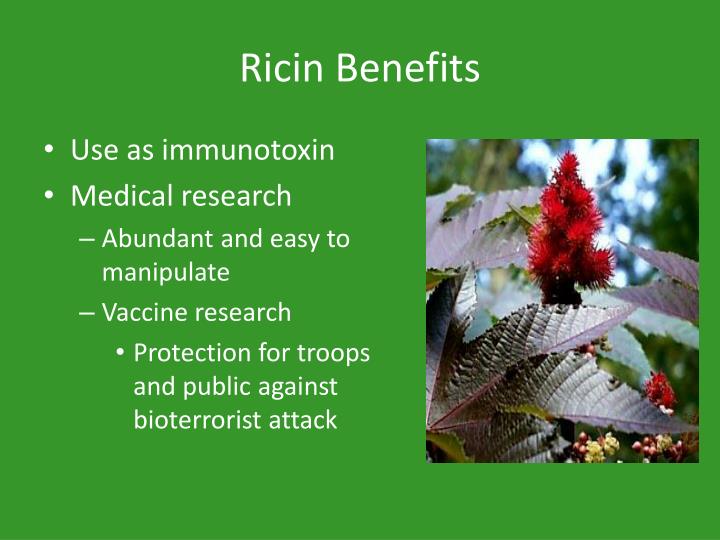PPT - Ricin PowerPoint Presentation - ID:1605357