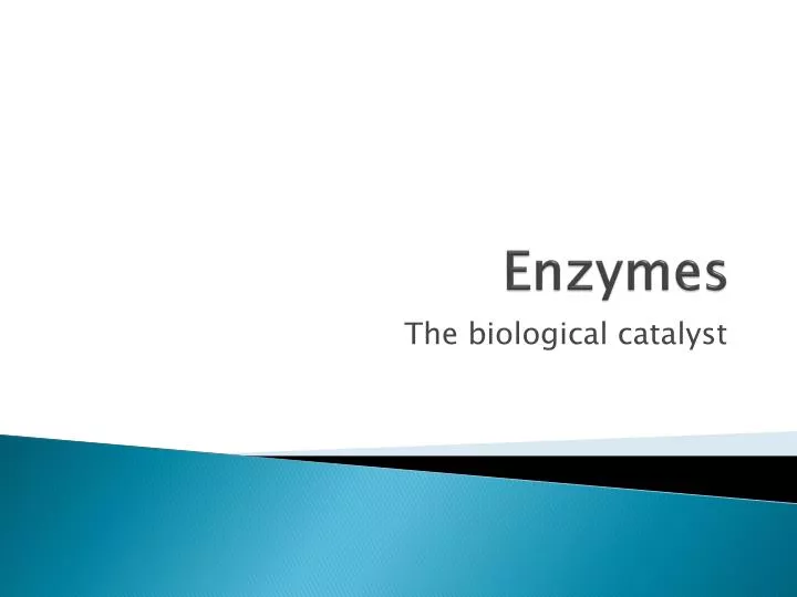 PPT - Enzymes PowerPoint Presentation, free download - ID:1605386