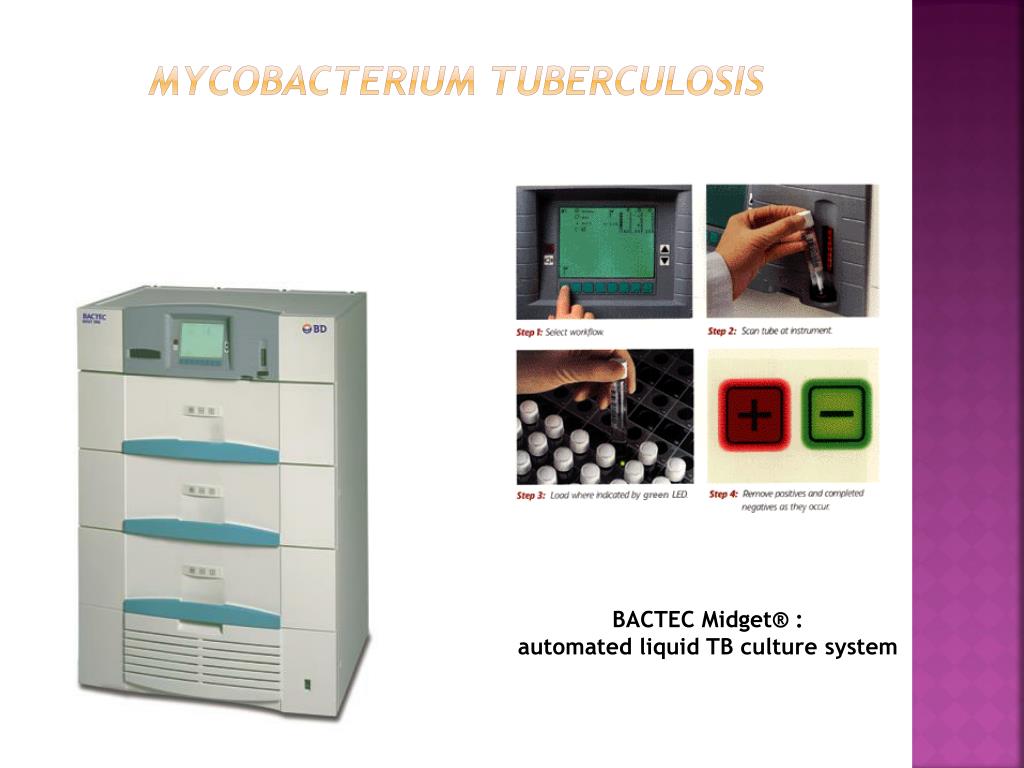 PPT - THE ROLE OF THE MICROBIOLOGY LABORATORY IN THE DIAGNOSIS OF ...