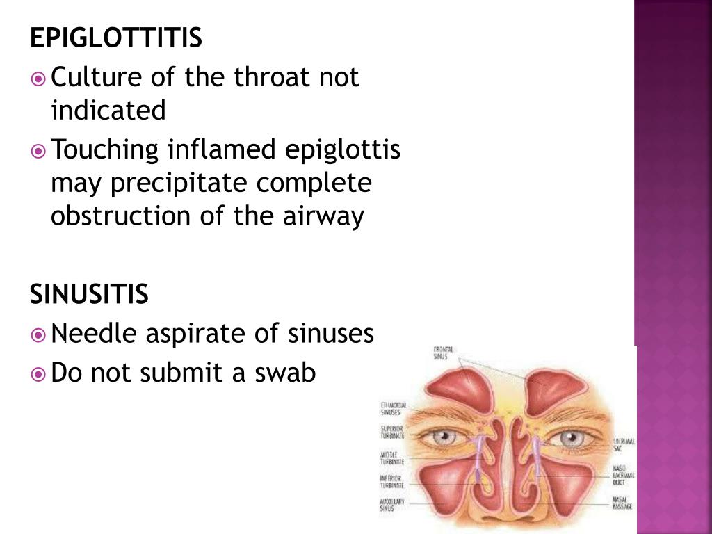 PPT - THE ROLE OF THE MICROBIOLOGY LABORATORY IN THE DIAGNOSIS OF ...