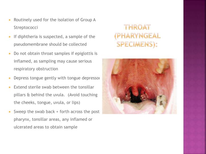 PPT - THE ROLE OF THE MICROBIOLOGY LABORATORY IN THE DIAGNOSIS OF ...