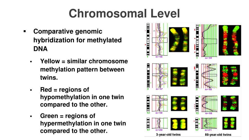 PPT - The Emerging Role of Epigenetics in Human Diseases PowerPoint ...