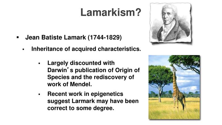 PPT - The Emerging Role of Epigenetics in Human Diseases PowerPoint ...