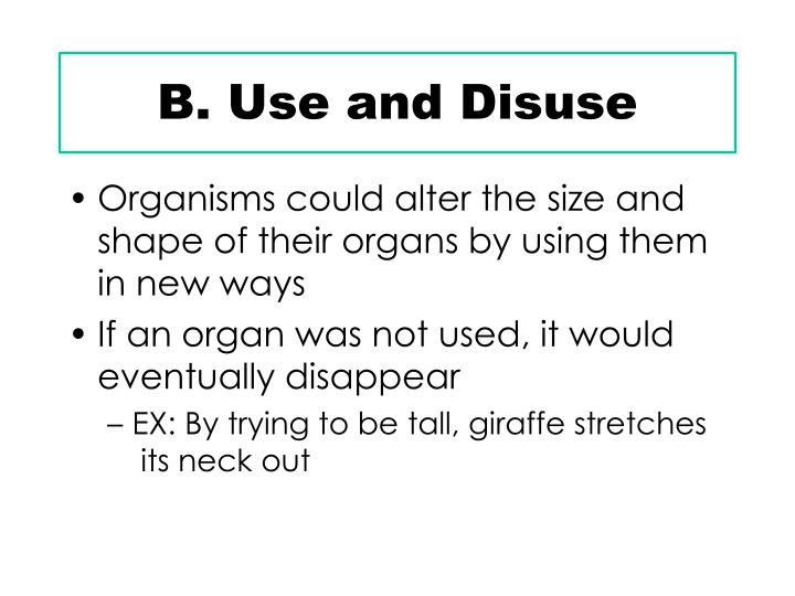 PPT - Darwin’s Theory of Evolution PowerPoint Presentation - ID:1605602