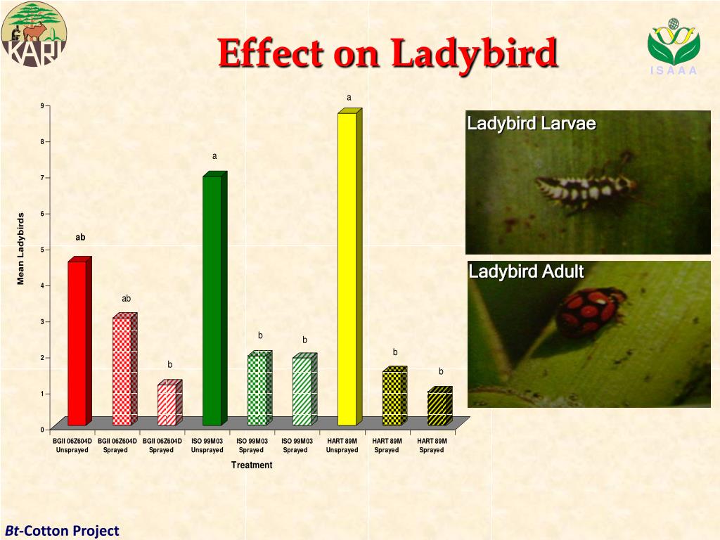PPT - Benefits and Progress Towards Commercialization of Bt Cotton in ...