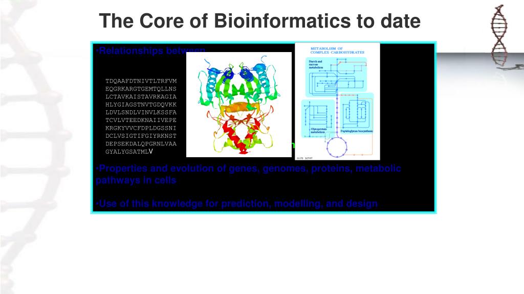 PPT - Bioinformatics PowerPoint Presentation, free download - ID:1605688 PPT - Bioinformatics PowerPoint Presentation, free download - ID:1605688