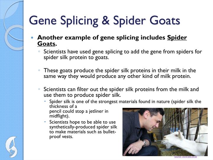 PPT - Biotechnology in Agriculture PowerPoint Presentation - ID:1605777