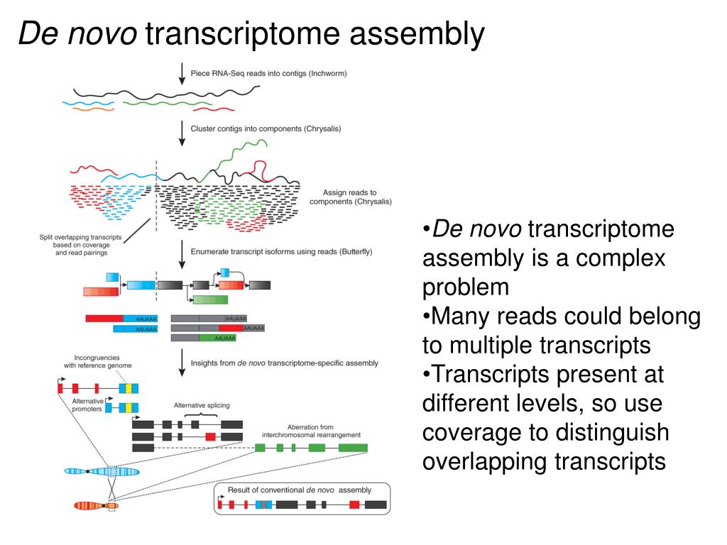 PPT - Big Data Challenges in Biology and the Sheffield Bioinformatics ...