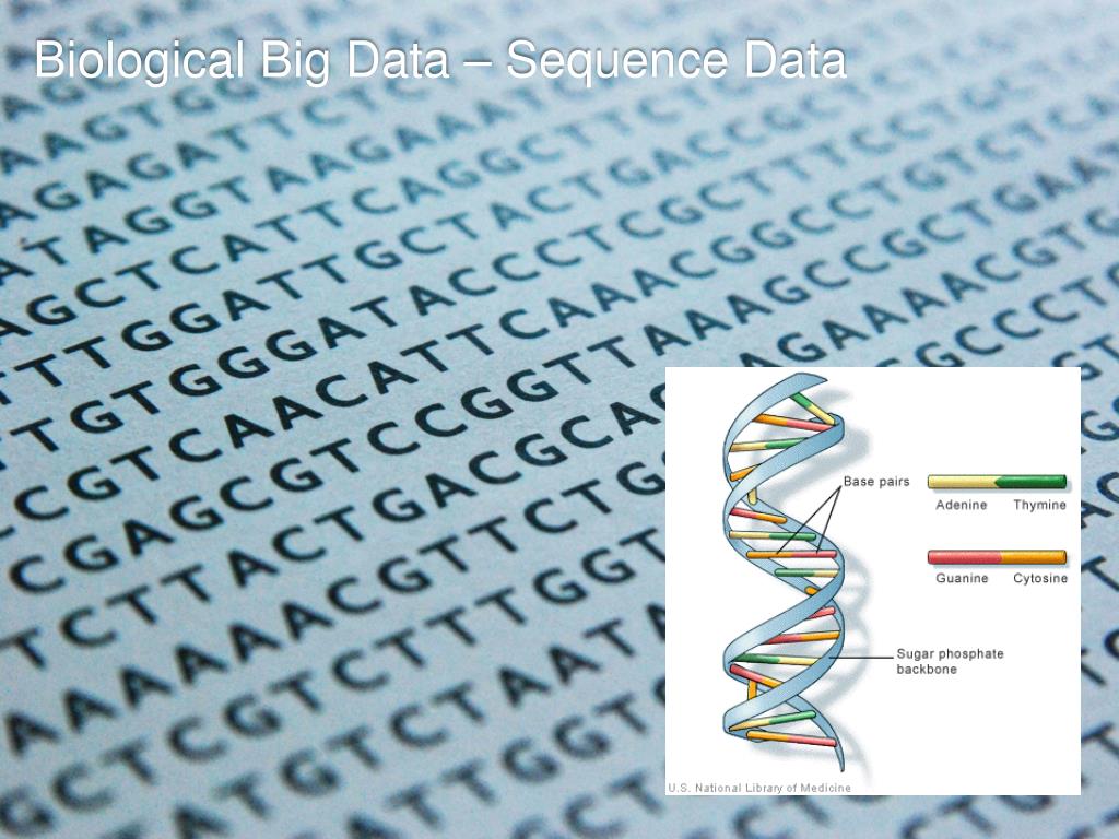 PPT - Big Data Challenges in Biology and the Sheffield Bioinformatics ...