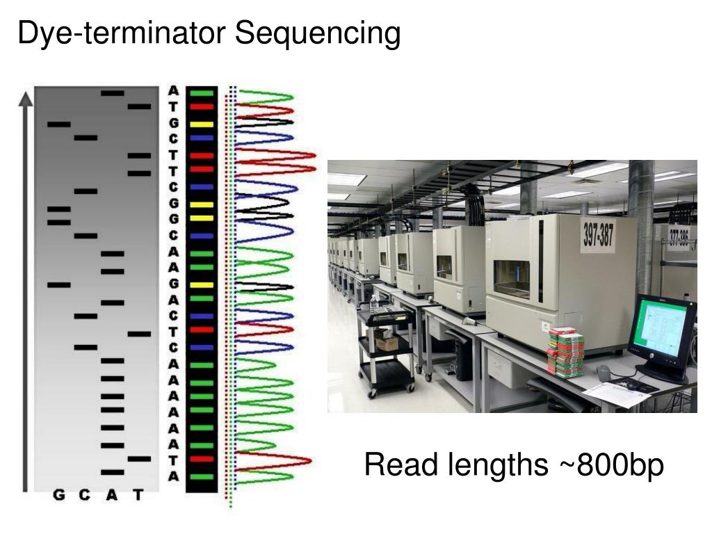 PPT - Big Data Challenges in Biology and the Sheffield Bioinformatics ...