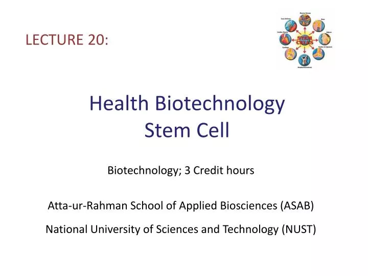 PPT - Health Biotechnology Stem Cell PowerPoint Presentation, free ...