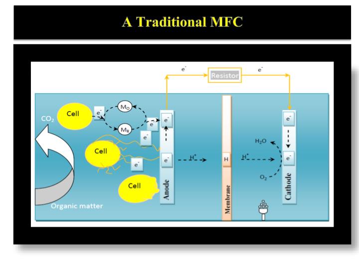 PPT - Microbial Fuel Cell PowerPoint Presentation - ID:1606177