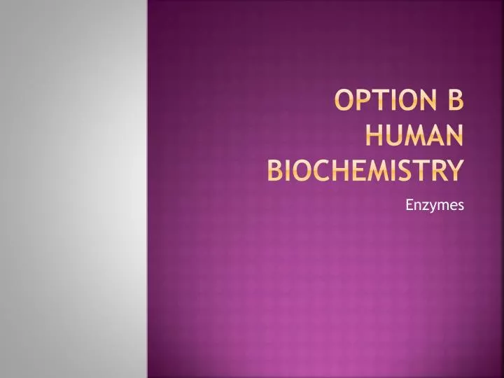 PPT - Option B Human Biochemistry PowerPoint Presentation, free ...