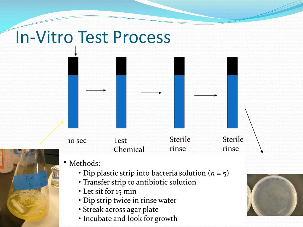 PPT - Antibiotic Effects on Flavobacterium psychrophilum the cause of ...