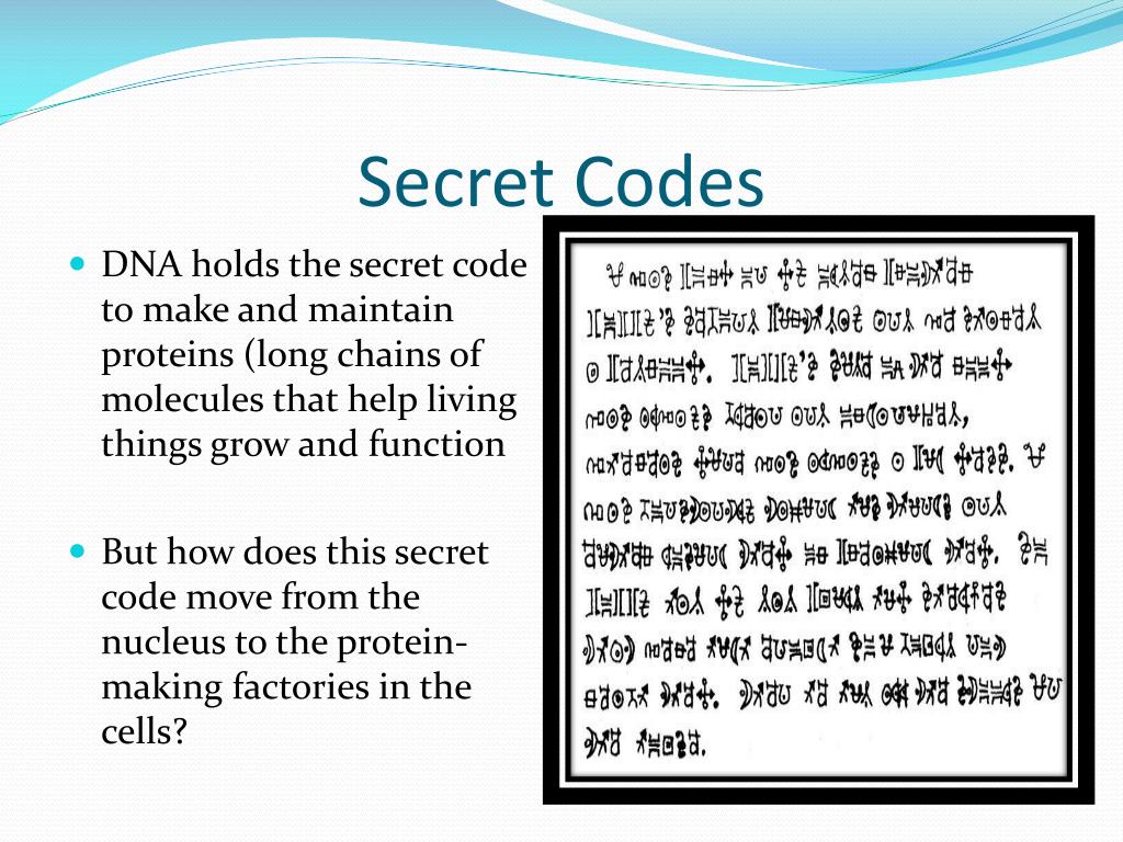 PPT - Biotechnology Bell Ringers September 27 th , 2010 PowerPoint ...