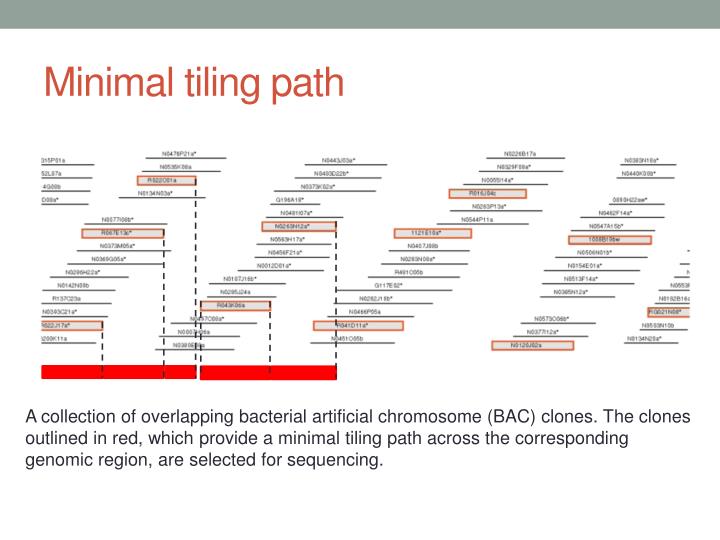 PPT - Last lecture summary PowerPoint Presentation - ID:1606891