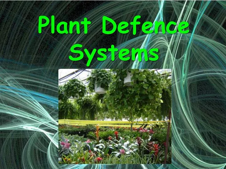 PPT - Plant Defence Systems PowerPoint Presentation, free download - ID ...
